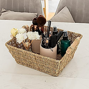 Handmade Woven Wicker Storage Baskets, 2-Pack, Seagrass Shelf Baskets for Organizing & Sorting, Toilet Paper Towel Holder Basket with Wooden Handles, Iron frame, 11.8" x 10.2" x 4.8"