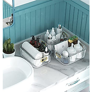 Txtsegose Clear Plastic Storage Bins,Bathroom Organizer and Kitchen Organization, Pantry Organization and Storage, Acrylic Organizers for Fridge, Freezer, BPA-Free Egg Organizer