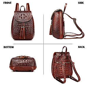 COOLCY Women Small Genuine Leather Backpack Purse Crocodile Designer Bag (Dark Brown)