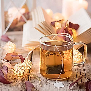 LANSKLBD - 200 Pcs Disposable Tea Bags for Loose Leaf Tea, Tea Filter Bags for Loose Tea, Wood Pulp Material, Empty Tea Bags (2.36 x 3.15 Inch))