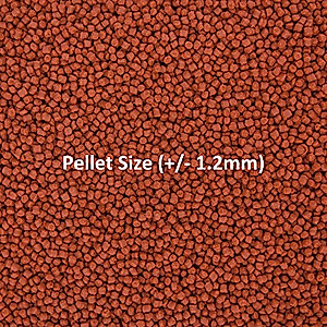 Ocean Nutrition Formula One Pellets 14-Ounces (400 Grams) Jar - Small Pellet Size