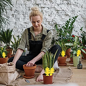 30 Pcs Yellow Sticky Trap for Indoor Gnats Dual Sided by Grow Margo - Fruit Fly Traps for Indoors - Plant Sticky Traps for Gnats - Plant Gnat Stix - Plant Fly Sticky Trap Sticks