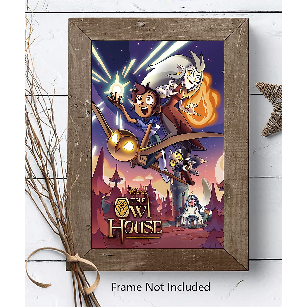 XIHOO Anime Cartoons The Owl House Wall Art Print Poster Home Decor Premium - Matte poster Frameless Gift 11 x 17 inch(28cm x 43cm)