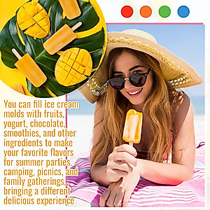 Hoolerry Ice Lolly Molds Set Include 4 Pcs Silicone Frozen Ice Cream Molds and 200 Pcs Ice Candy Maker Sticks for Homemade, Red, Blue, Green, Orange (10 Cavities)