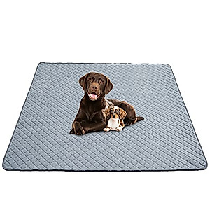 Eterish Reusable Washable Pee Pads for Dogs Large/Extra Large 36'' x 41'' 2 Pack, Absorbent Pet Puppy Dog Training Pads Non-Slip, Waterproof Whelping Potty Pads for Dogs Leak-Proof