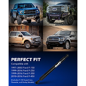 Orion Motor Tech Truck Tailgate Assist, Pickup Tailgate Lift Assist Kit Compatible with 1997 1998 1999 2000 2001 2002 2003 Ford F150, 1999 to 2016 F250 F350 Super Duty, & 2010 to 2016 F450 Super Duty