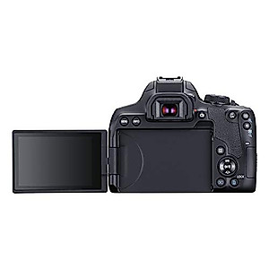 Canon EOS Rebel T8i Body, Black