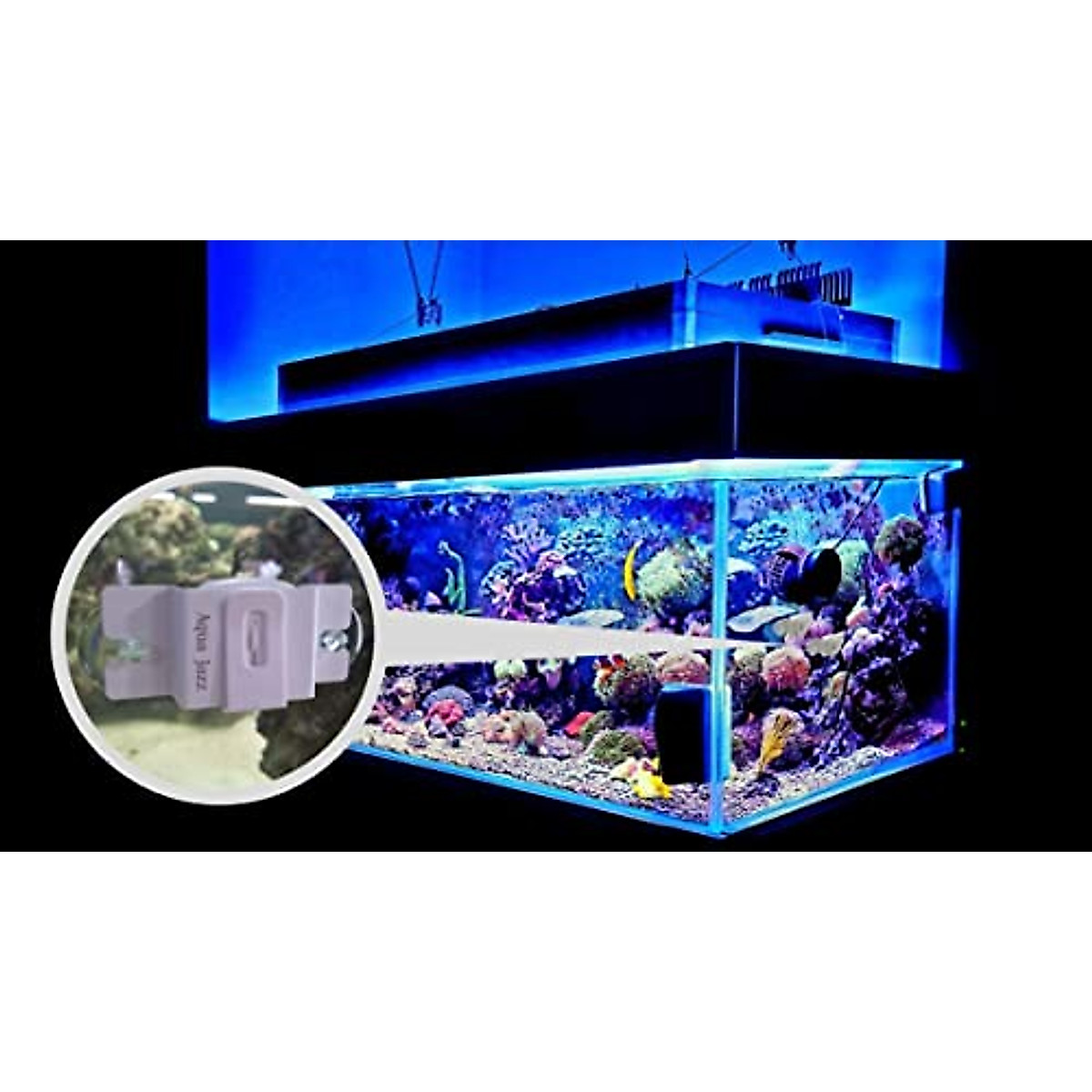 Aqua Jazz [AquaJazzView10] 1080P WiFi Camera Indoor, Pet Cam, Aquarium, Reef, Coral, Fish Monitor Cam, Mobile App, Wireless IP Camera, Hidden Camera, Spy Camera, white