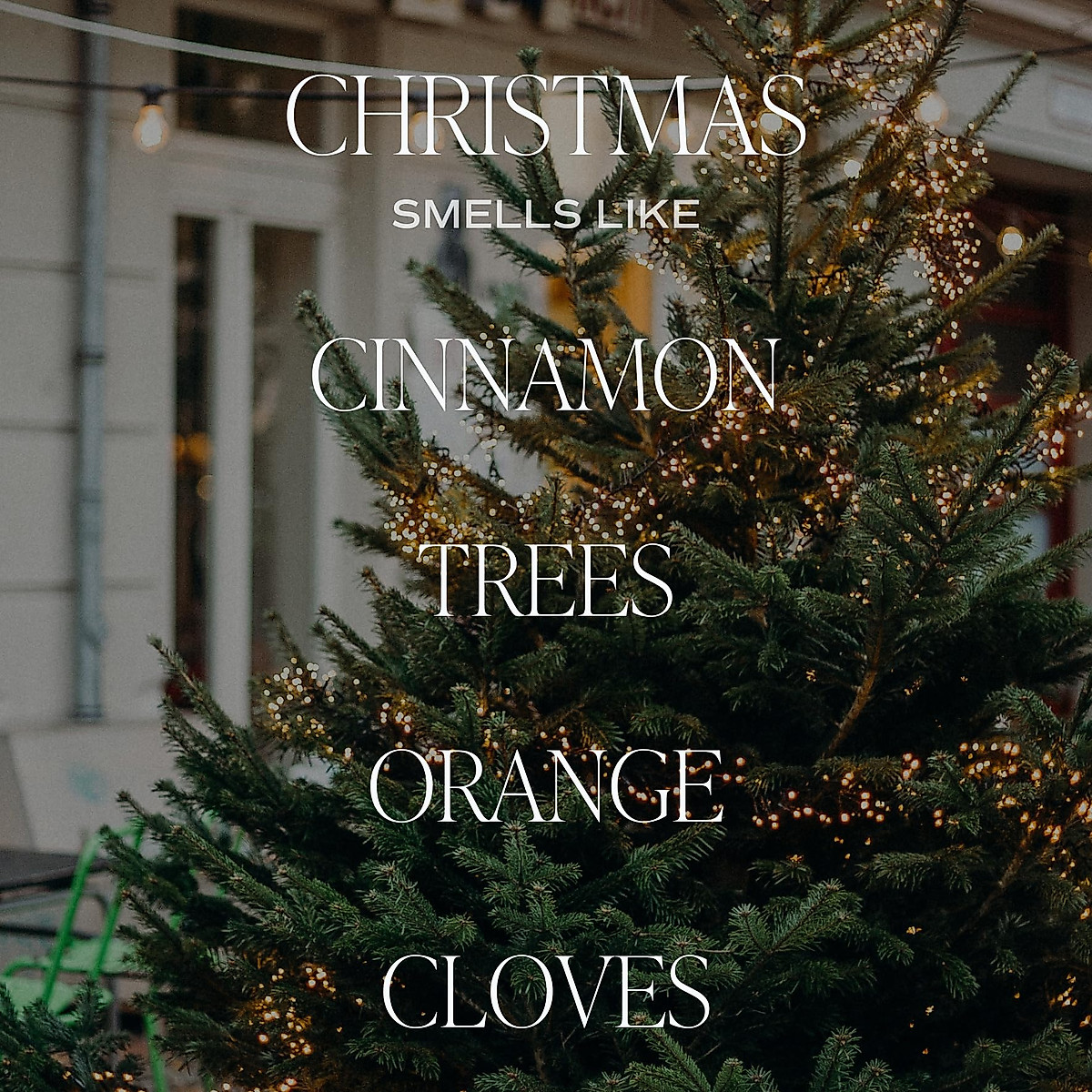 Sweet Water Decor Christmas Scented Candle | Cinnamon, Trees, Orange, and Clove Scents | Christmas Candles and Decor for Home | 9oz. Clear Jar Soy Candle, Made in the USA