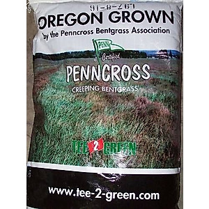 PENNCROSS BENTGRASS ONE POUND GOLF PUTTING GREEN SEED