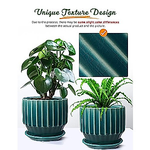 AISBUGUR Plant Pots 6 inch Ceramic Pots for Indoor Plants Set of 2 Flower Pots Unique Crackle Glaze Design Plant Pots with Drainage Hole and Saucer Come with Drainage Nets (Aqua Green)