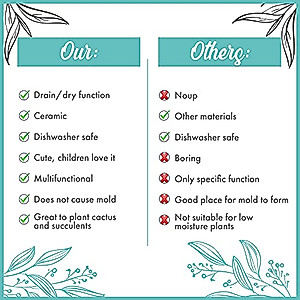 LUMI Small Succulent Pot with Drainage (6.3 Inches) - Cute Ceramic Pots for Flowers, Bosnai and Cactus -Planter for Indoor Plants - Nice Home Decor Idea