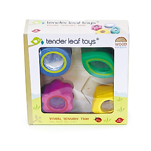 Tender Leaf Toys - Sensory Trays - Baby Blocks, Shape Sorter, STEM Learning Shape Identification Sorting Game Toy for Kids 18 Month + (Visual Sensory Trays)