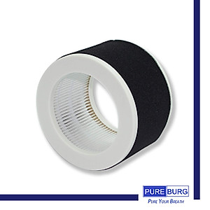 PUREBURG EPI810 Replacement Filters Compatible with Mooka & KOIOS EPI810 Air Purifiers,H13 HEPA 3-Stage Filtration Activated Carbon Air Clean Dust VOCs,2-Pack