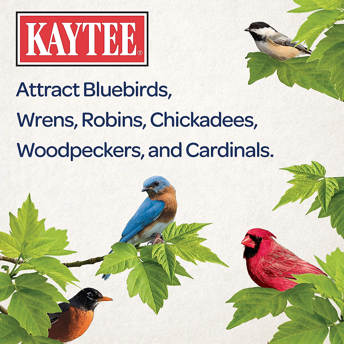 Kaytee Wild Bird Gourmet Seed Cake for Cardinals, Chickadees, Juncos, Titmice, Woodpeckers and More, 2 Pounds (Pack of 2)
