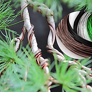 AIEX 1mm 6 Rolls Bonsai Wire Aluminium 196.8 Feet in Total for Bonsai Tree Training and Craft Making with Nippers(Black, Brown, Silver, Green)