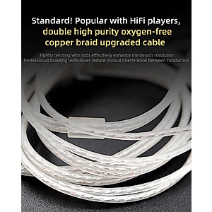 keephifi KZ ZSN Pro X Wired Ear Buds with Microphone,1BA+1DD Hybrid IEM Earphones Earbuds Punchy Bass,Comfortable Wearing, Detachable Cable for Audiophiles Musicians Singers Drummers(Gold,with Mic)