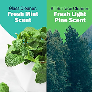 Goodbye Naturally Glass Cleaner and All Surface Cleaner, Safe and Effective All Natural Cleaning Products, 14 oz Continuous Spray Cans, 2 Pack