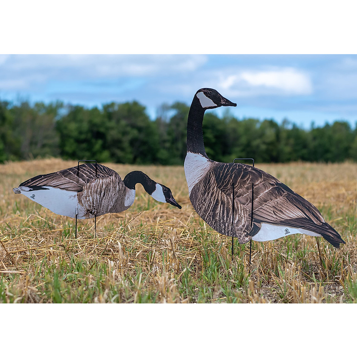 Real-Geese 1 Doz Vivid Series Silhouette Decoys