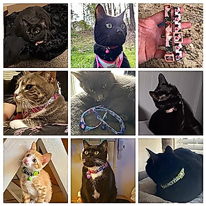 DILLYBUD Breakaway Cat Collars for Girl Boy Cats, Fall Winter All Weather Cat Collar Personalized Pattern 2 Pack,Cute Classic Safety Buckles and Bells,Adjustable Printed Nylon Colorful Pink