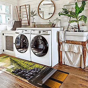 Miaklek Red Wine Kitchen Mats for Floor Anti Fatigue Mats for Kitchen Floor Kitchen Rugs Cushioned Mats Non Slip Comfort Standing Kitchen Rugs Set of 2, Grassland Sky Wine Cask