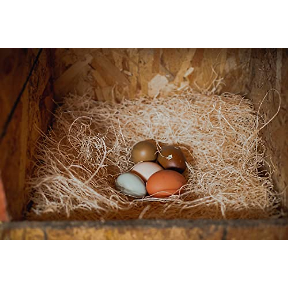 Eaton Pet and Pasture, Premium Laying Hen Nesting Pads, USA Grown & Sustainably Harvested, 13 x 13 (10 Pack)