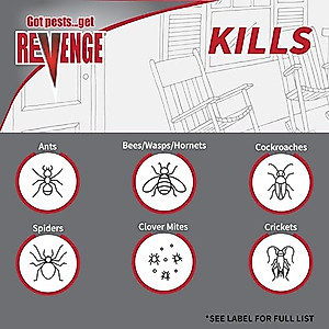 Revenge Spider & Ground Bee Killer for Indoors and Outdoors, 10 oz Ready-to-Use Dust Treatment Repels Ants, Bees, Roaches, Spiders and More