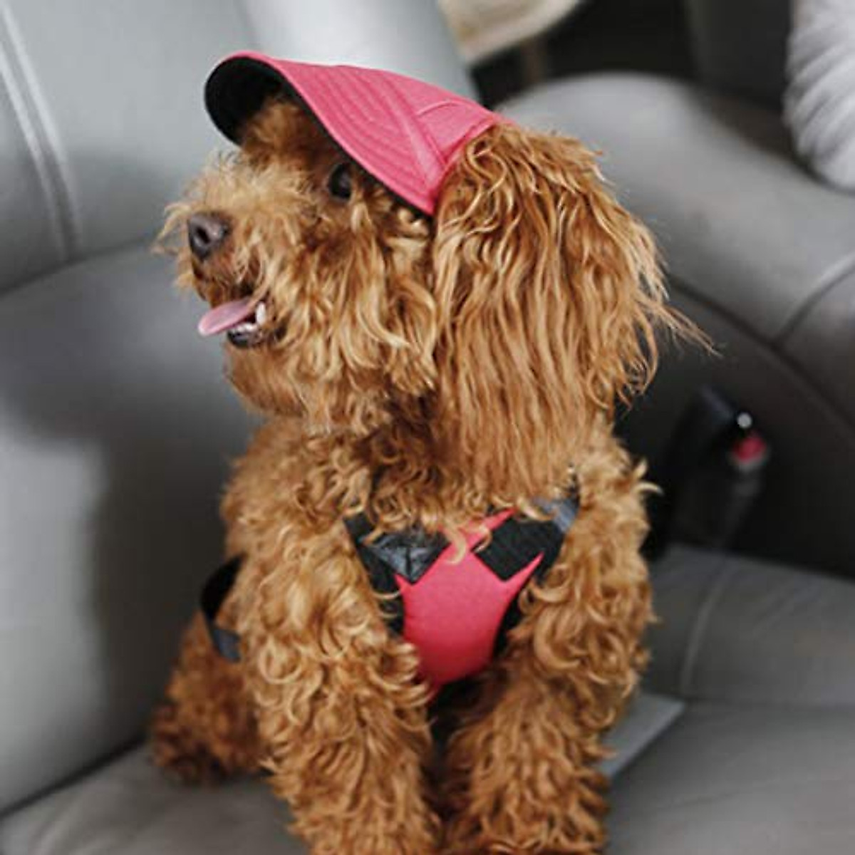 1Pc Dog Baseball Hat, Dog Hat Dog Cap Hats for Dogs Dog Visor Hats Sports Hats with Ear Holes Dog Sun Visor Hat with Adjustable Chin Strap for Pet Sun Protection, Size S