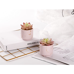 zenmag Fake Succulents, Mini Succulents Plants Artificial in Pink Ceramic Pots for Desk Livingroom Bathroom and Home Decoration Office Decor for Women Set of 2 Artificial Succulents