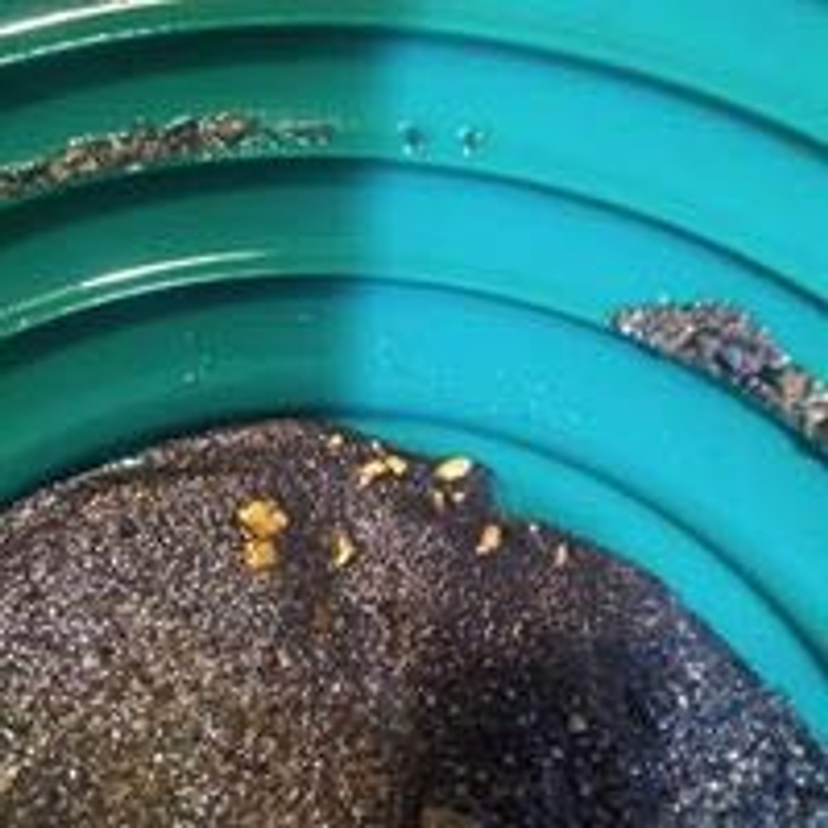 Alaskan Gold Paydirt