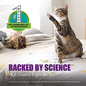 Nutramax Dasuquin Joint Health Supplement for Cats - With Glucosamine, Chondroitin, ASU, Boswellia Serrata Extract, Green Tea Extract, and Omega-3, 84 Soft Chews