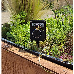 Acoustic Bird Scarer. Pigeons, Seagulls, Starlings and Woodpecker Repellent. Raptor and Bird Distress Audio Call Deterrent. Battery Operated Repeller for Outside