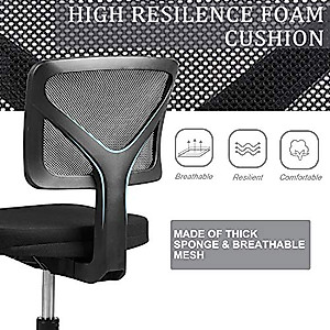 RIMIKING Mesh Low-Back Ergonomic Swivel Chair Computer Chair Task Chair Desk Chair Armless Home Office Chair, Adjustable Height, Black