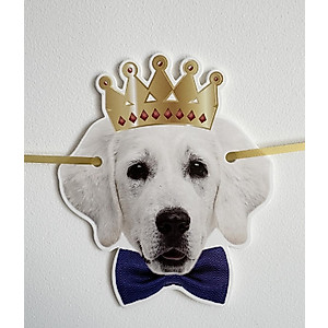 Dog Birthday Garland Funny Happy Birthday Banner Decor Puppy Face Bday Party Bunting Decorations Gold Birthday Sign