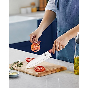 Hinye Chef Knife Ultra Sharp Santoku Knife Japanese Chefs Knife, Kitchen Knife Gadgets Birthday Gifts for Women Men Dad with High-End Gift Box (Ruby Red)