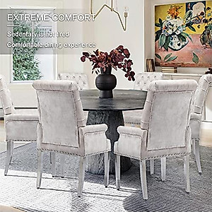 GATOSIG Tufted Velvet Upholstered Dining Chairs with Nailhead Trim, Stainless Steel Leg for Kitchen/Bedroom/Dining Room (Beige)