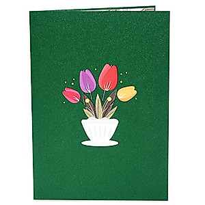 Paper Love 3D Pop Up Card, Tulips, Handmade 3D Popup Greeting Cards, For Thinking of You, Thank You, Sympathy, Wedding, Anniversary, Get Well, Just Because, Mother's Day, Valentine's Day, All Occasion, 5" x 7"