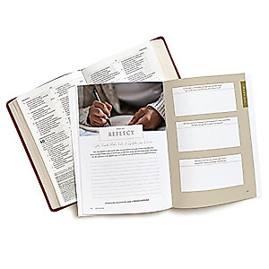 Devoted: 30 Days with Women of the Bible - Devotional Bible Study for Women