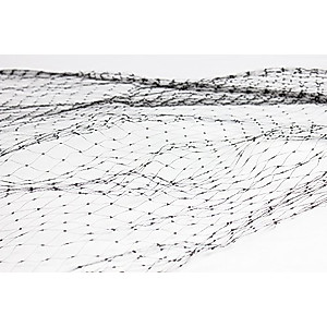 PetiDream Bird Netting -Stops Hawks,Birds from Plants ,Fruit Trees and Vegetables - Perfect as Garden Netting and Protective Net in 13ftx 33ft,Black