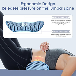 kasney Lumbar Support Pillow Ergonomic Memory Foam, Relieve Back Pain, CMFY Breathable & Detachable & Washable, Perfect for Office Chairs, Car Seats, Beds (Blue)