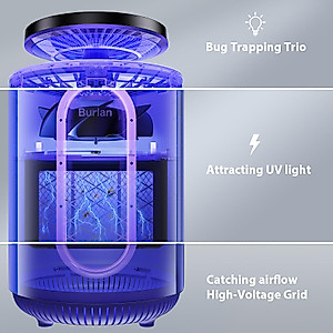 Fruit Fly Traps for Indoors Home: Bug Zapper Indoor 2 in 1 Attracts and Zaps Mosquitos, Gnats, Moths, Fruit Flies, Insect Fly Trap Adjustable Sleep and Zapper Blue Light Mosquito Zapper Black