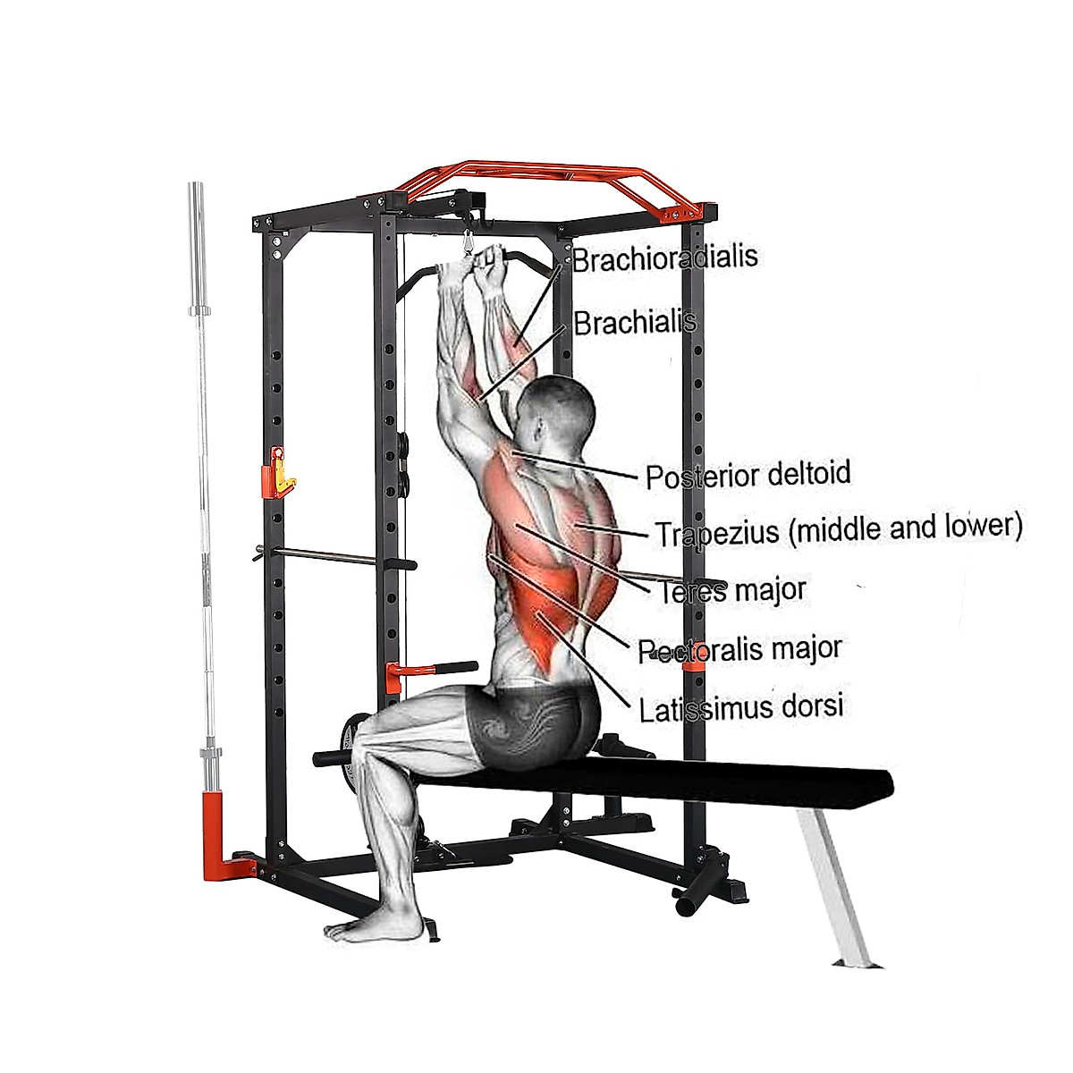 HAUSHECK Power Racks for Home Gym, Adjustable Squat Rαck with Pull Up Bar, J-Hooks, Dip Handles, 1400lbs Multi-Function Powēr Cage with Training Attachment, Orange