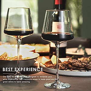 coccot Wine Glasses Set of 6,Crystal White Wine Glasses,Red Wine Glass Set,Long stem Wine Glasses,Clear Lead-Free Premium Blown Glassware (18.5oz,6 pack)