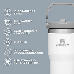 Stanley IceFlow Stainless Steel Tumbler - Vacuum Insulated Water Bottle for Home, Office or Car Reusable Cup with Straw Leak Resistant Flip Cold for 12 Hours or Iced for 2 Days, Jade, 20OZ