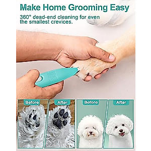lexflext Dog Grooming Clippers, Dog Paw Trimmer with Detachable Ceramic Blade for Trimming Small Areas of Pet's Hair, Low Noise Paw Grooming Shaver for Cat's Eyes Face Ears Paws (Blue)