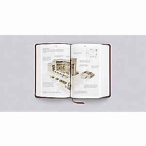 ESV Student Study Bible (TruTone, Chestnut)