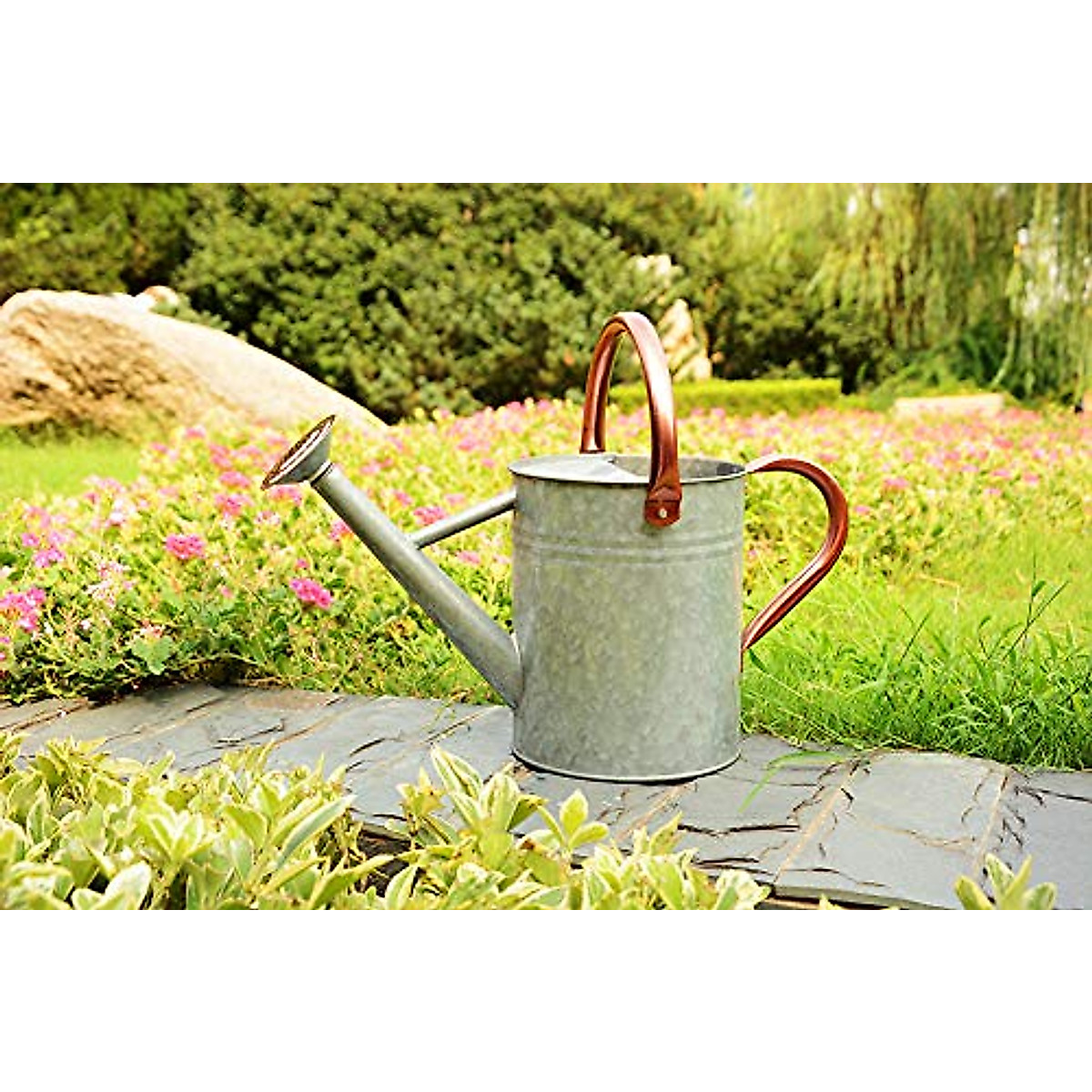 Metal Watering Can, One Gallon Watering Cans Stainless Steel Handle for Outdoor Indoor Garden Plants Watering (1 Gallon Silvers)