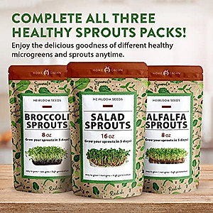 Broccoli Seeds for Sprouting or Microgreens - High Germination Sprout Seeds | Heirloom & Non-GMO | Nutritious Micro Greens Seeds - Broccoli Sprouts in 5 Days - Sulforaphane Rich