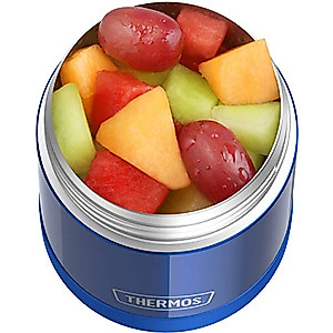 THERMOS FUNTAINER 10 Ounce Stainless Steel Vacuum Insulated Kids Food Jar, Blue