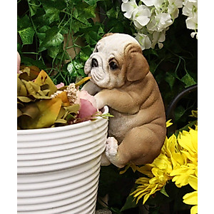Ebros Lifelike Pot Pal Hanging Bulldog Puppy Pooch Dog Statue 7.5" Tall with Glass Eyes Hand Painted Realistic Bulldogs Pedigree Dogs Decor Figurine Animal Pet Sculpture Garden Patio Decorative